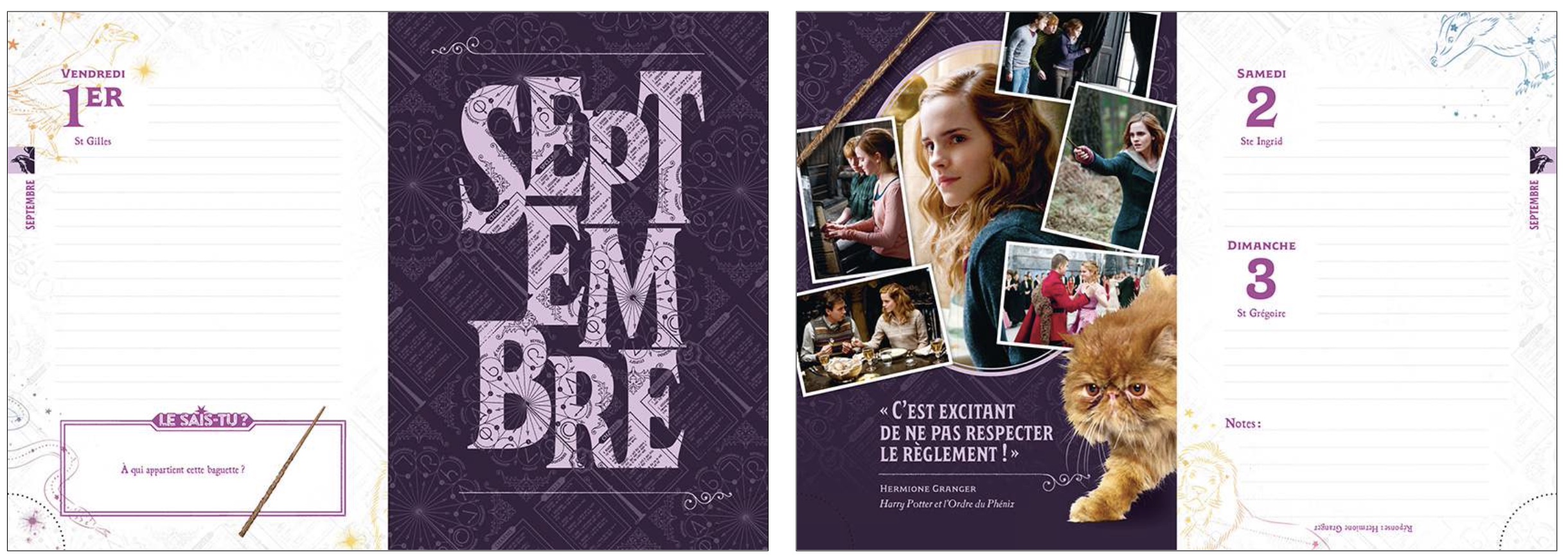 HARRY POTTER - Agenda 2023-2024 - Fière d'être une sorcière ...