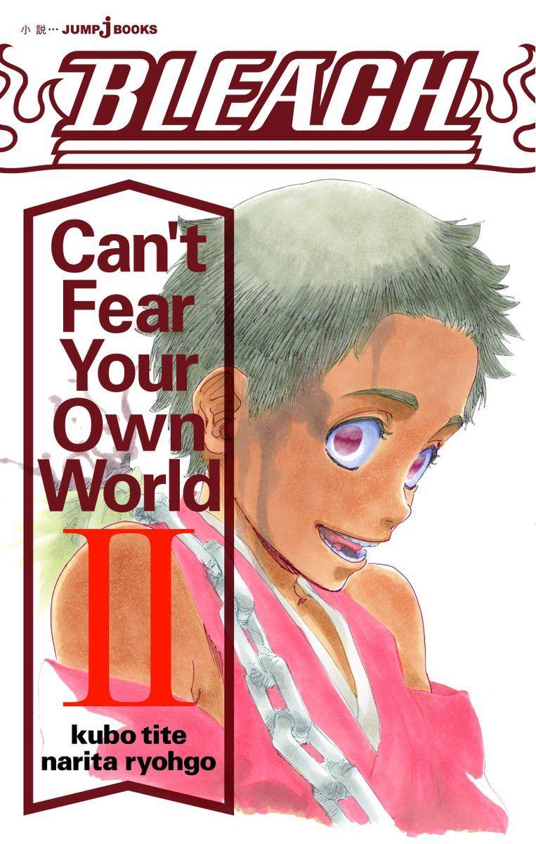 BLEACH - Can't Fear Your Own World - Roman - Tome 2 : ShopForGeek.com ...