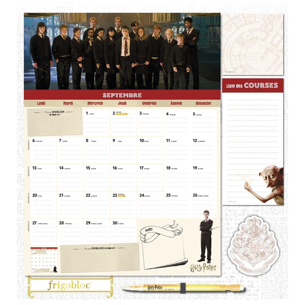 FRIGOBLOC HARRY POTTER 2022 - CALENDRIER D'ORGANISATION : ShopForGeek ...