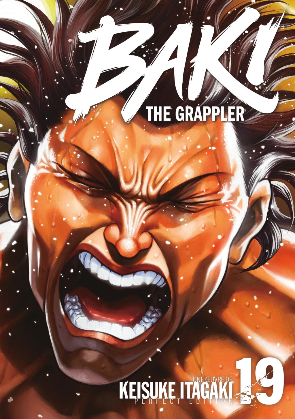 BAKI THE GRAPPLER - Tome 19 - Perfect Edition : ShopForGeek.com: Manga ...