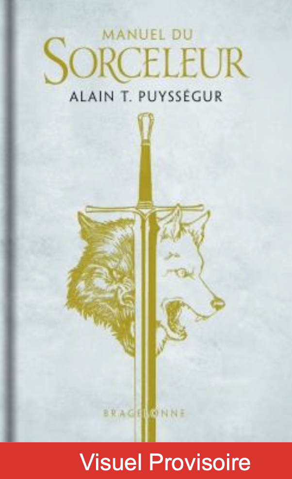 L'UNIVERS DU SORCELEUR (THE WITCHER) - MANUEL DU SORCELEUR : ShopForGeek.com: Literature books ...