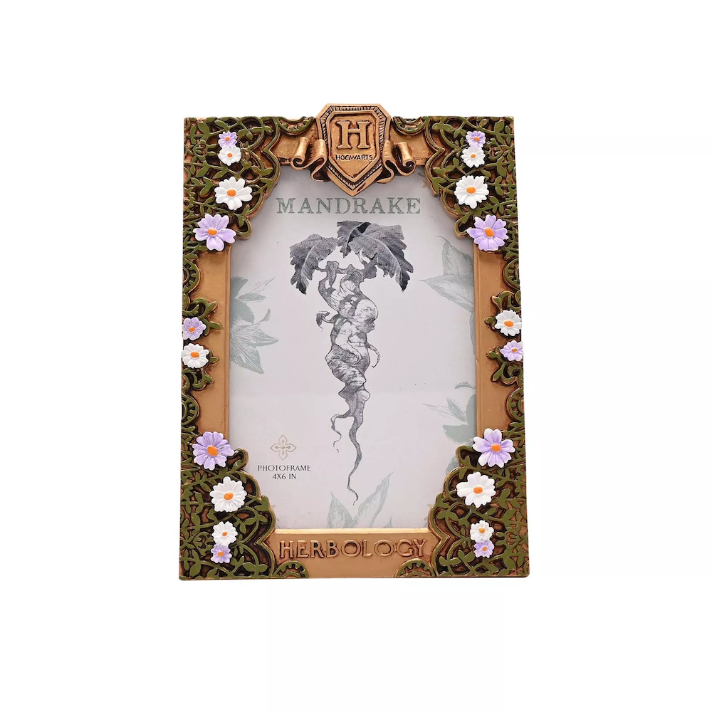 HARRY POTTER - Herbology - 3D Photo Frame : ShopForGeek.com: HOME Deco ...